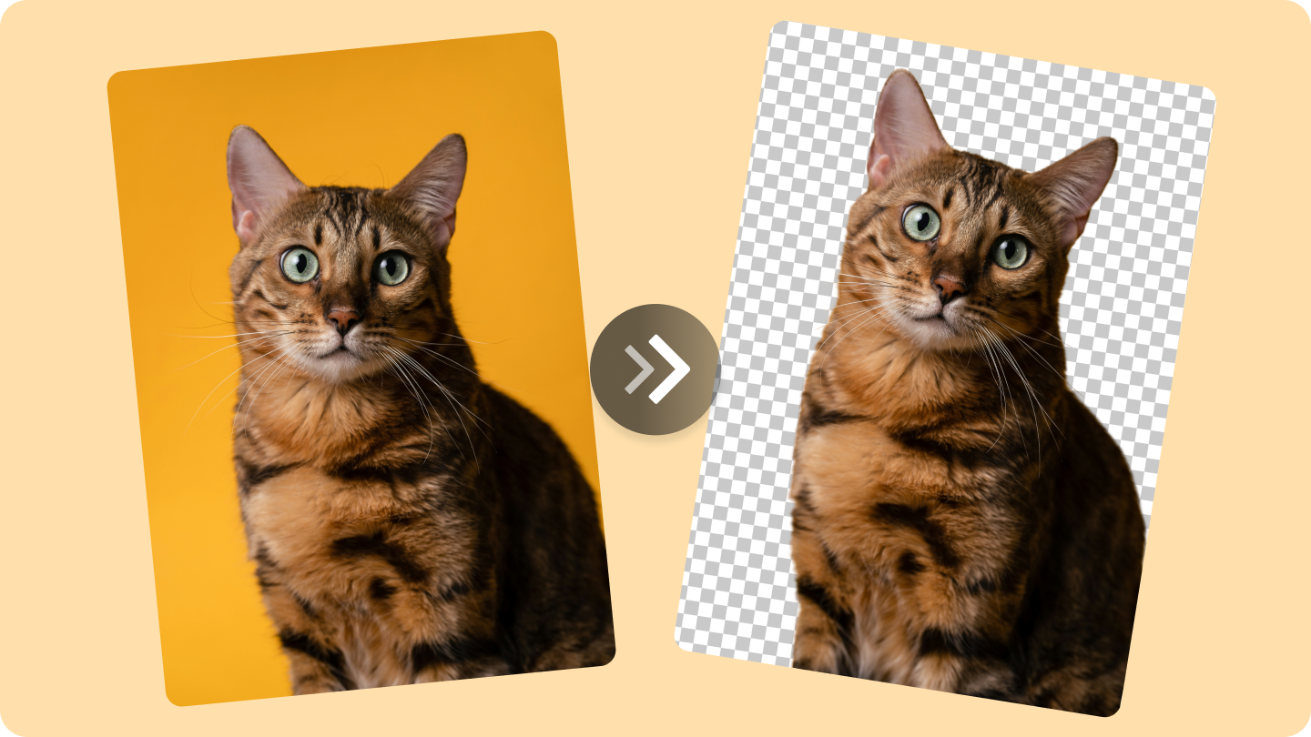 How To Eliminate Background From An Image 3 Easy Tools You d Like