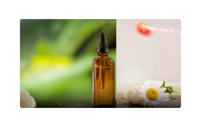 10 Automated Dropshipping Tools to Scale Your Store in 2025